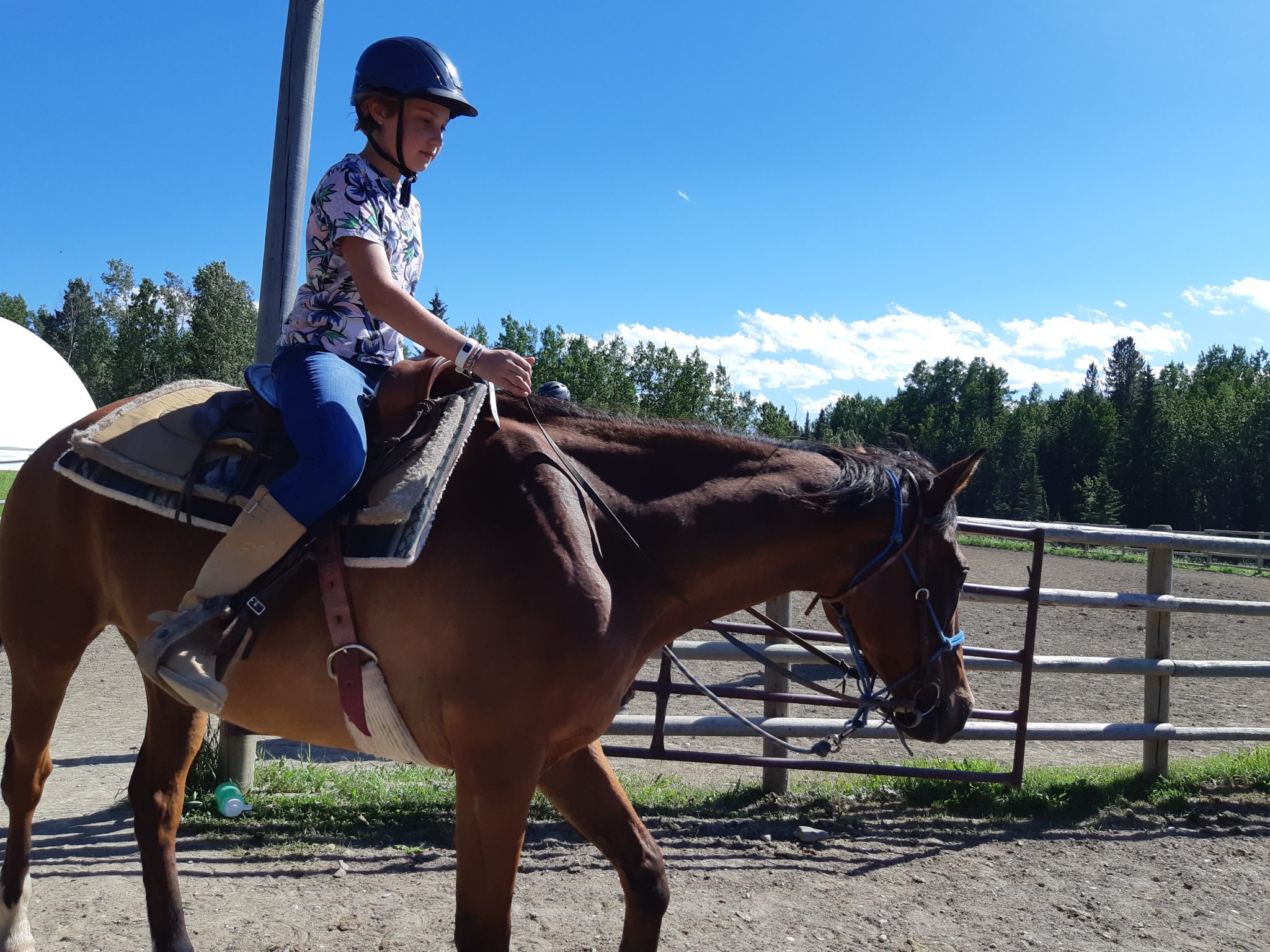 Galleries – InterVarsity Pioneer Camp Alberta